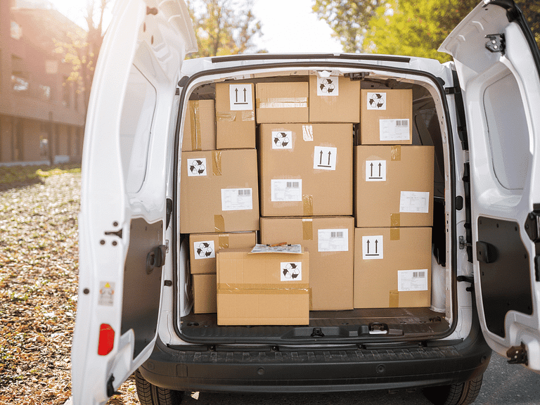 WHAT ARE THE MAIN DIFFERENCES BETWEEN CARGO AND COURIER? - One Planet ...